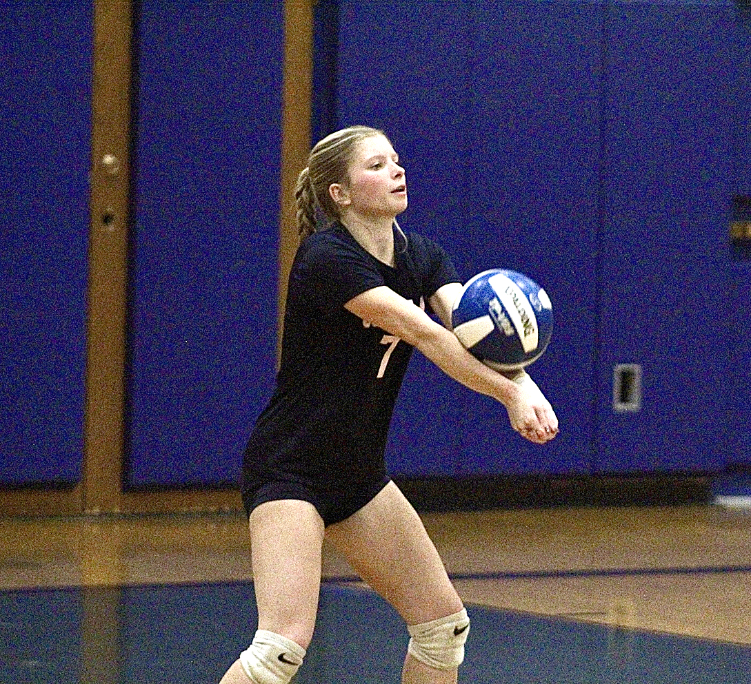 Westfield Eliminates Sherman In Class D | News, Sports, Jobs - Post Journal